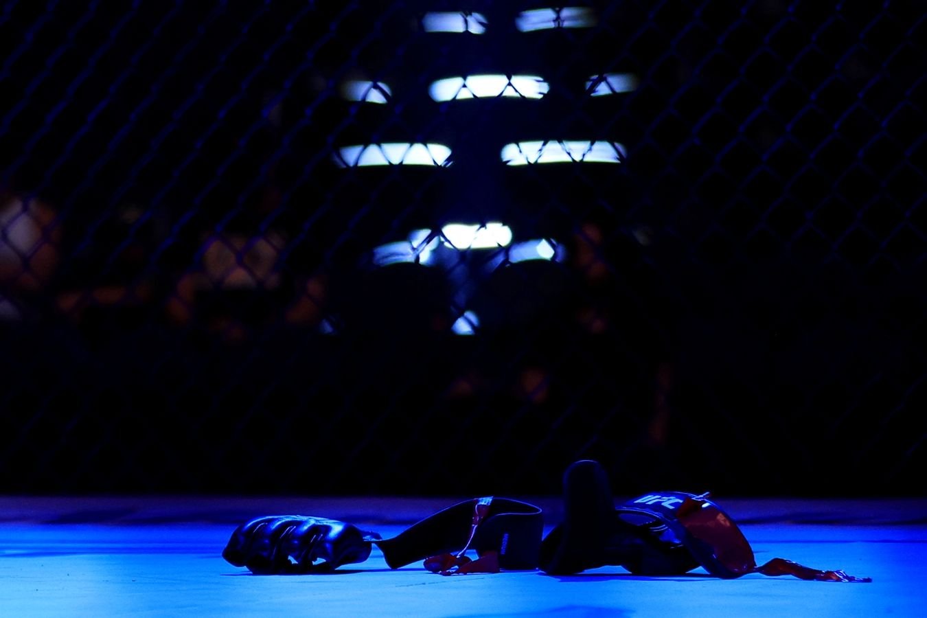 Шахбазян нокаутировал Будку в первом раунде на UFC Fight Night 251 ...