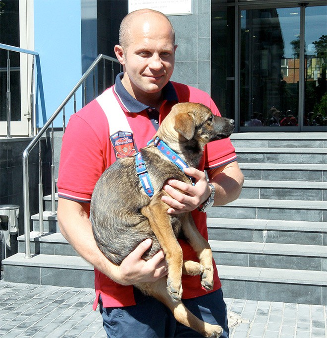 Биография Фёдора Емельяненко - Чемпионат