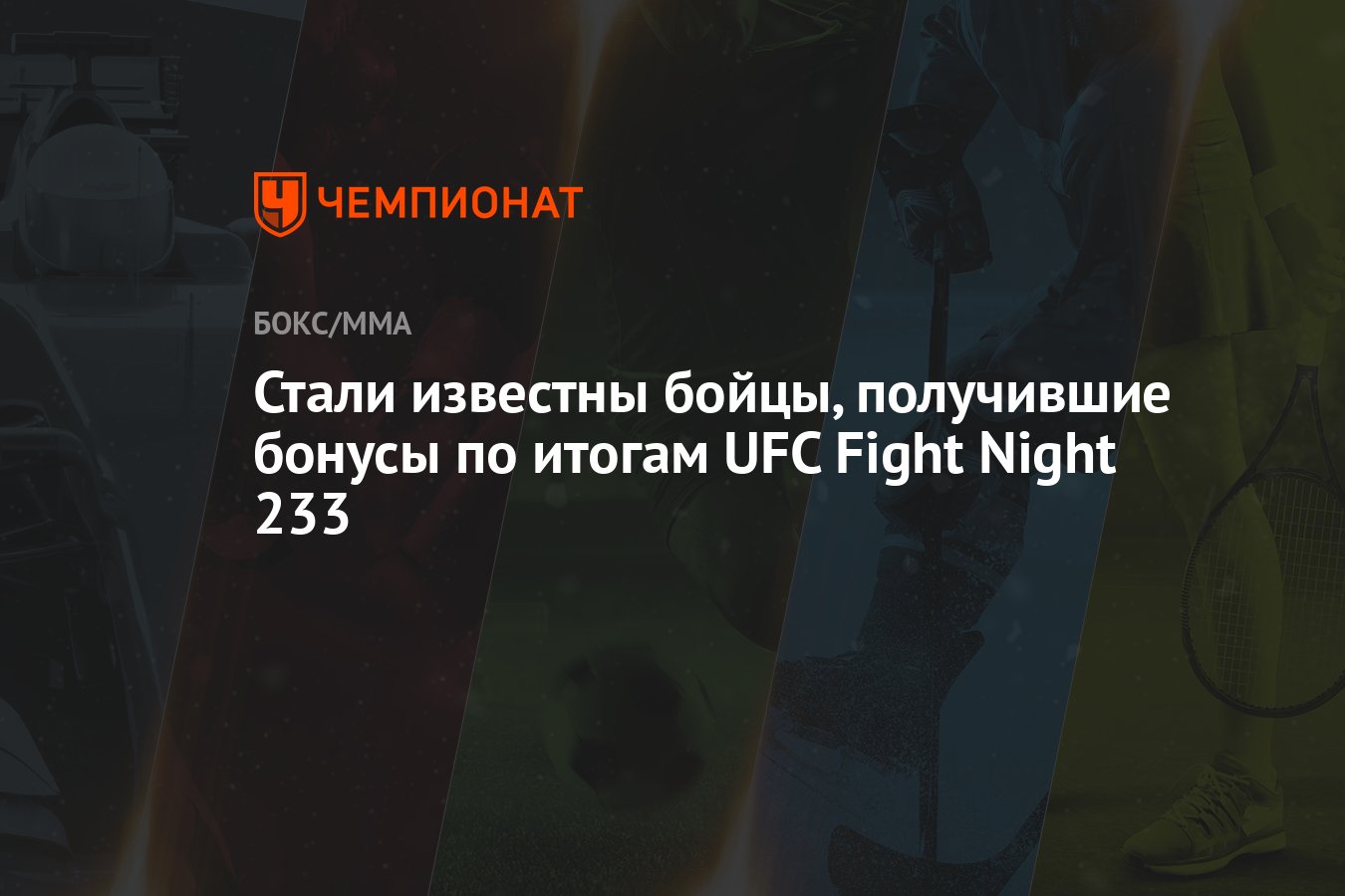 Стали известны бойцы, получившие бонусы по итогам UFC Fight Night 233 ...