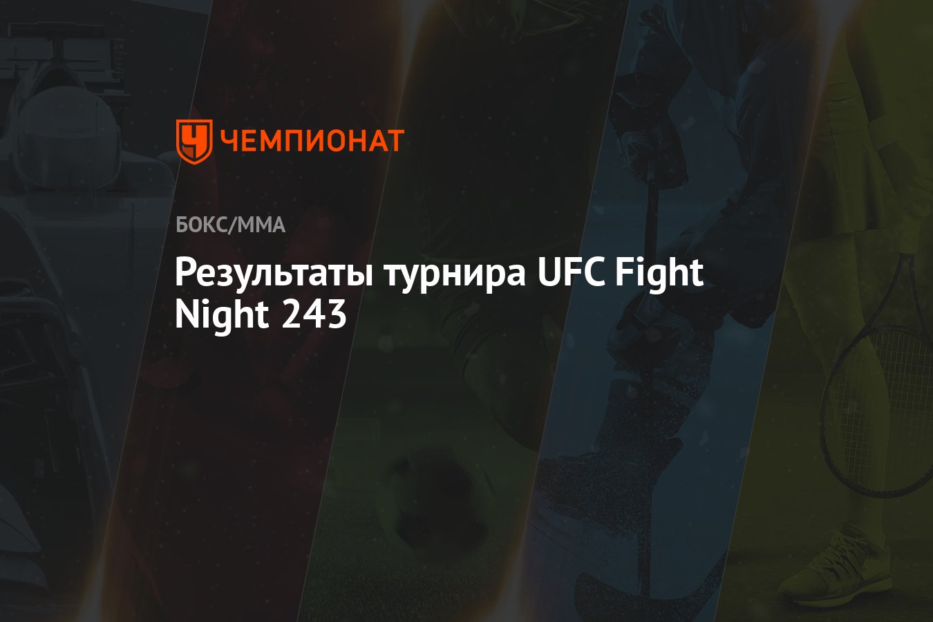 Результаты турнира UFC Fight Night 243 - Чемпионат