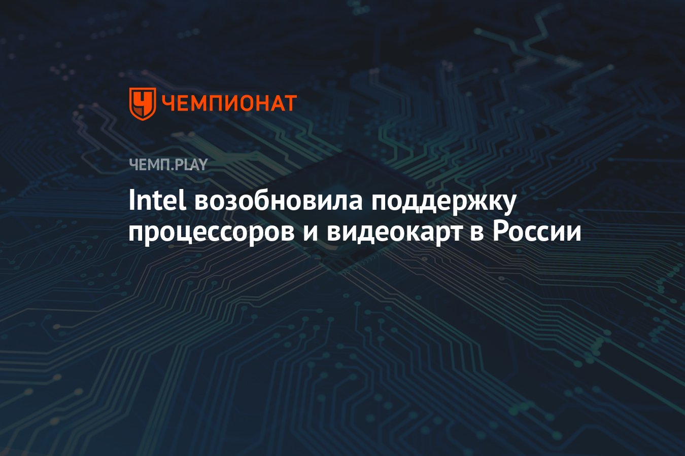 Intel возобновила поддержку процессоров и видеокарт в России - Чемпионат