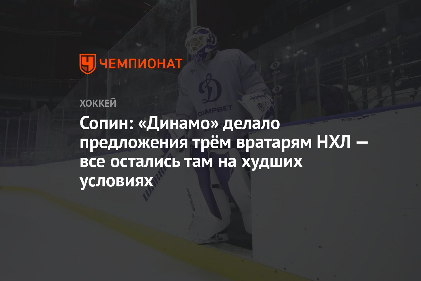 Сопин: «Динамо» делало предложения трём вратарям НХЛ — все остались там ...