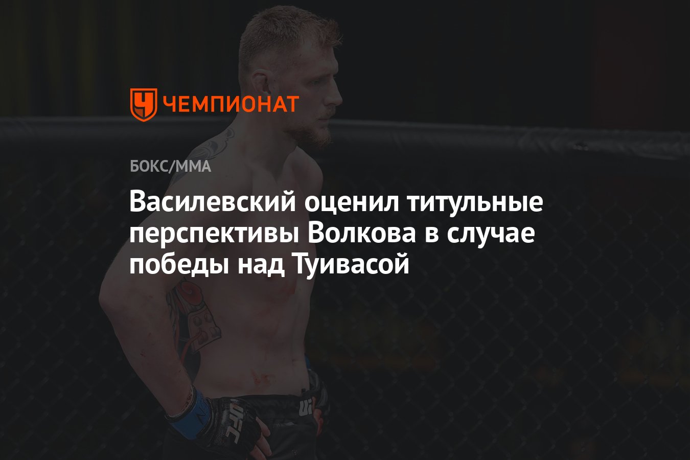 Василевский оценил титульные перспективы Волкова в случае победы над ...