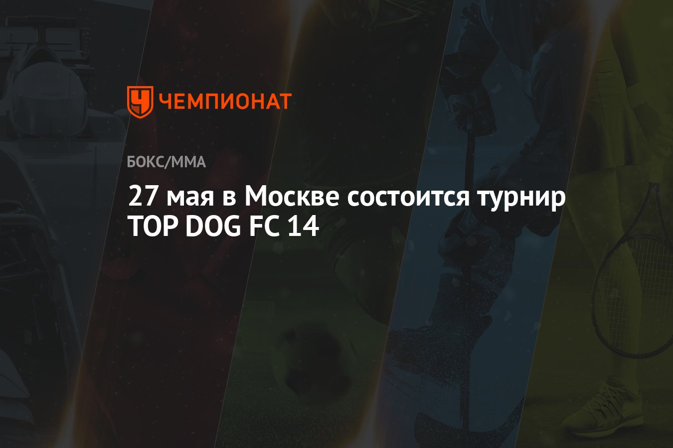 27 мая в Москве состоится турнир TOP DOG FC 14 - Чемпионат