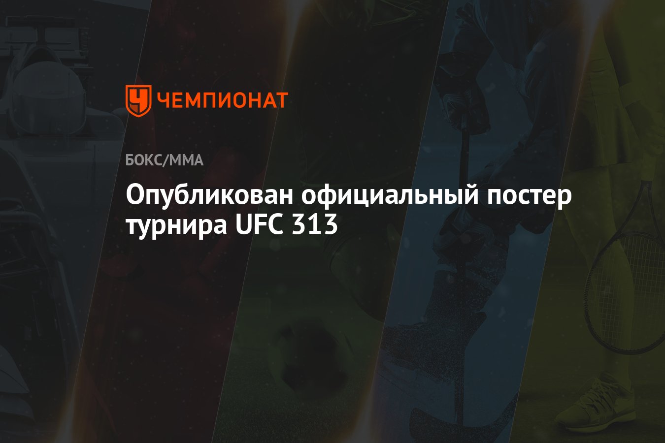 Опубликован официальный постер турнира UFC 313 - Чемпионат