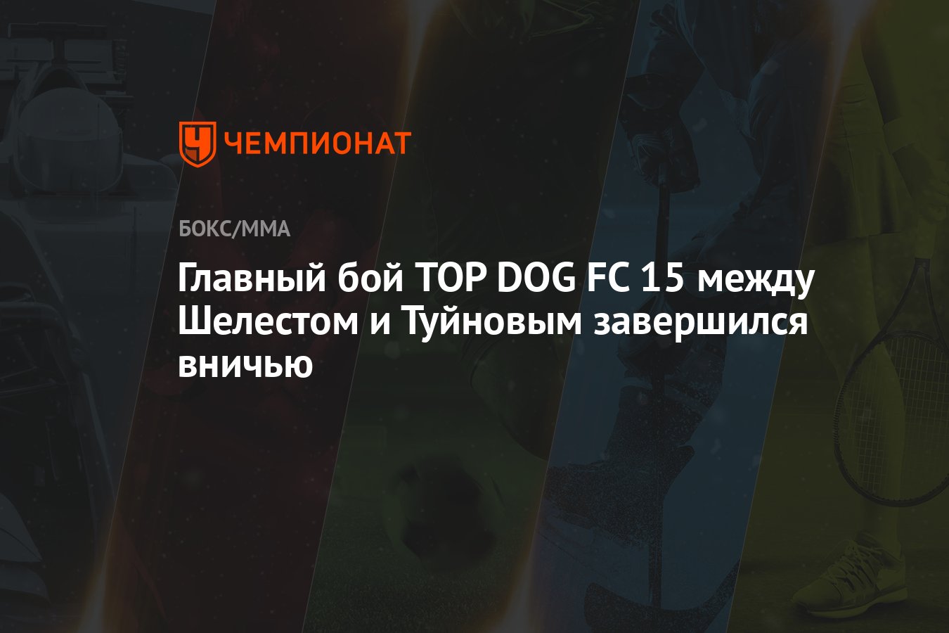 Главный бой TOP DOG FC 15 между Шелестом и Туйновым завершился вничью - Чемпионат