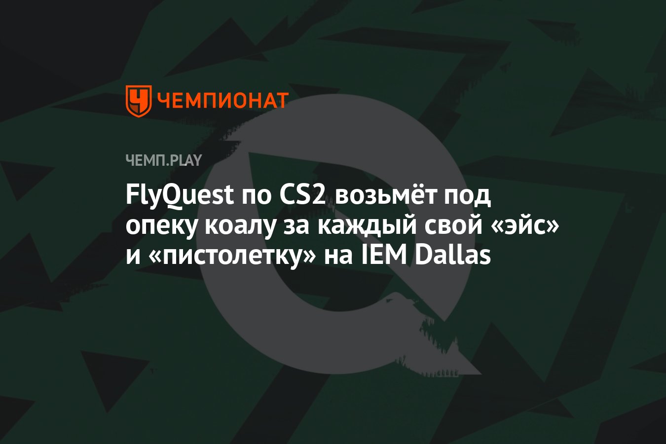 FlyQuest по CS2 возьмёт под опеку коалу за каждый свой «эйс» и ...