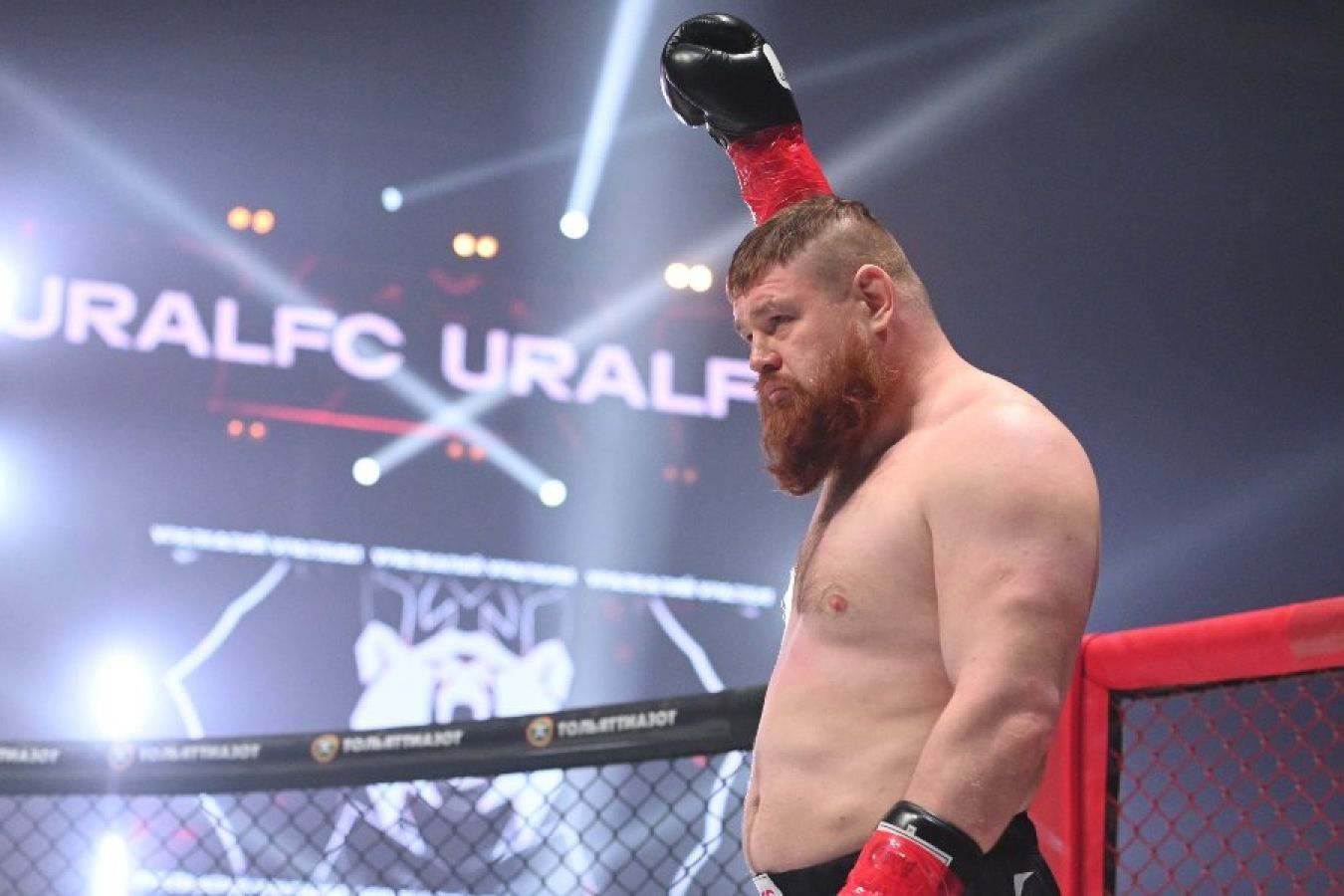 Рейтинг главных MMA-промоушенов России, ACA, AMC Fight Nights, RCC, Eagle FC, Hardcore - Чемпионат