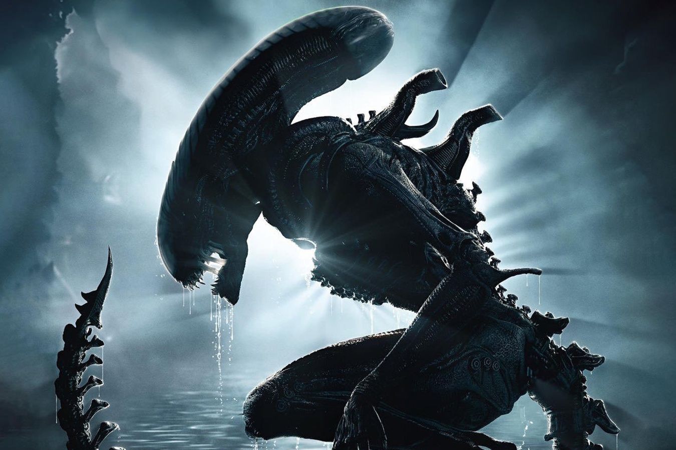 Cборы хоррора «Чужой: Ромул» превысили $ 300 млн, лента — одна из самых ...