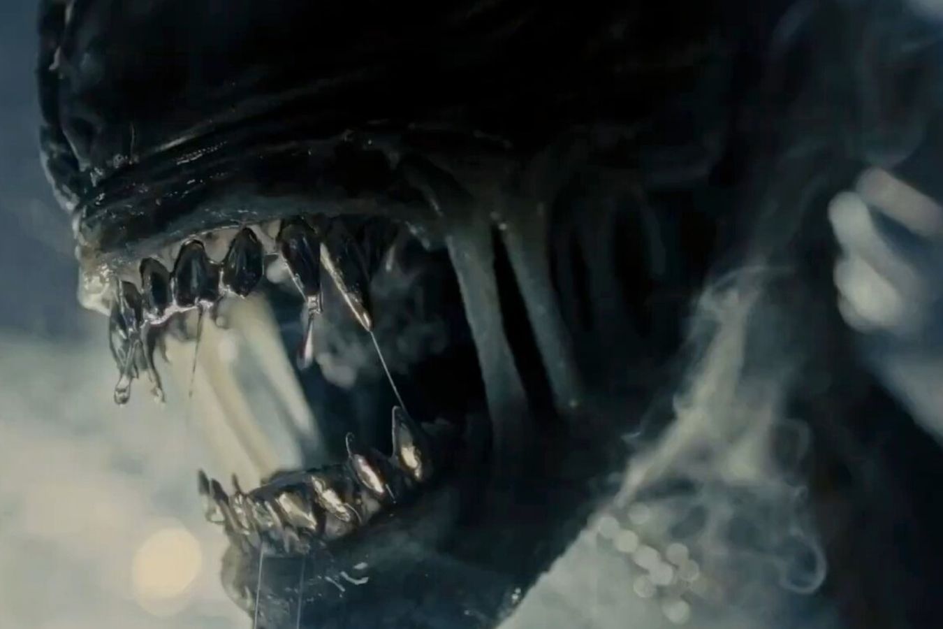 «Один из лучших фильмов франшизы»: первые зрители в восторге от фильма ...