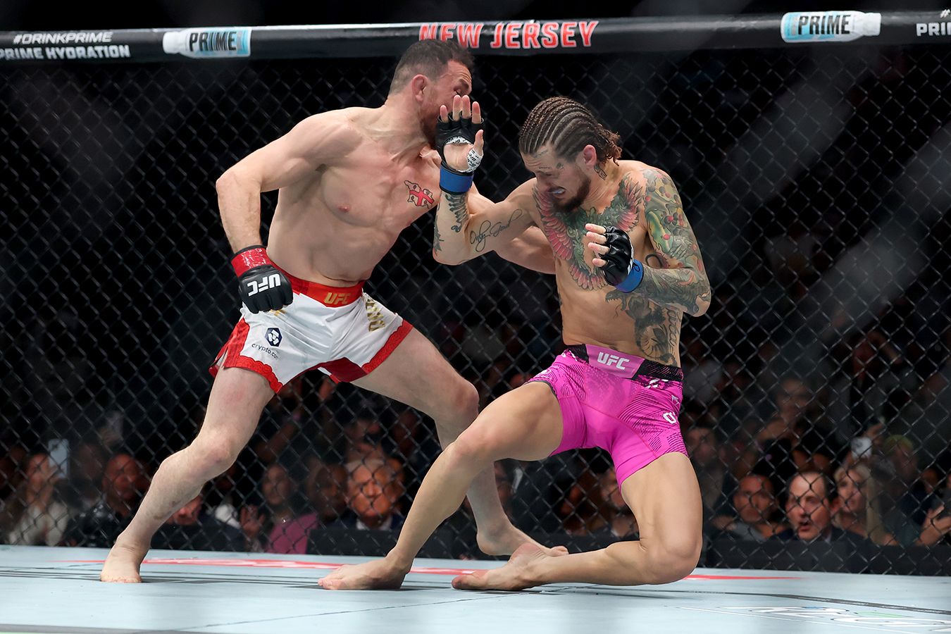 Мераб Двалишвили — Шон О'Мэлли 2, реванш: фотоотчёт с боя на UFC 316 ...