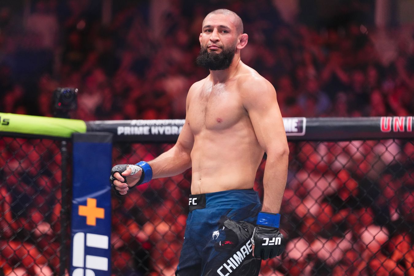Хамзат Чимаев — Дрикус дю Плесси, UFC 319, разбор боя, как прошёл ...
