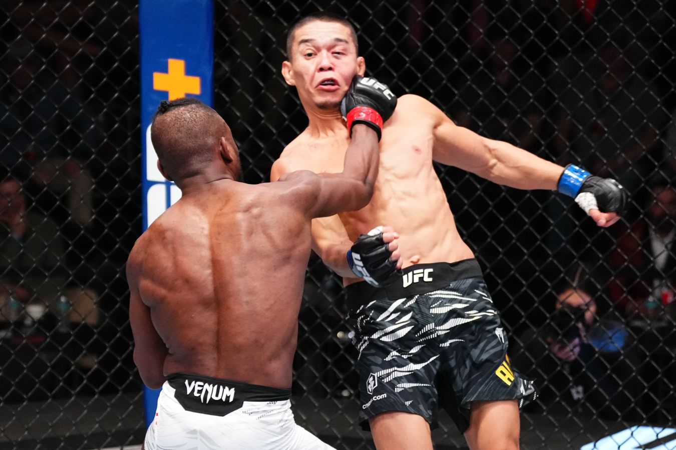 UFC Fight Night 253: Манел Капе — Асу Алмабаев, кто победил, результат ...