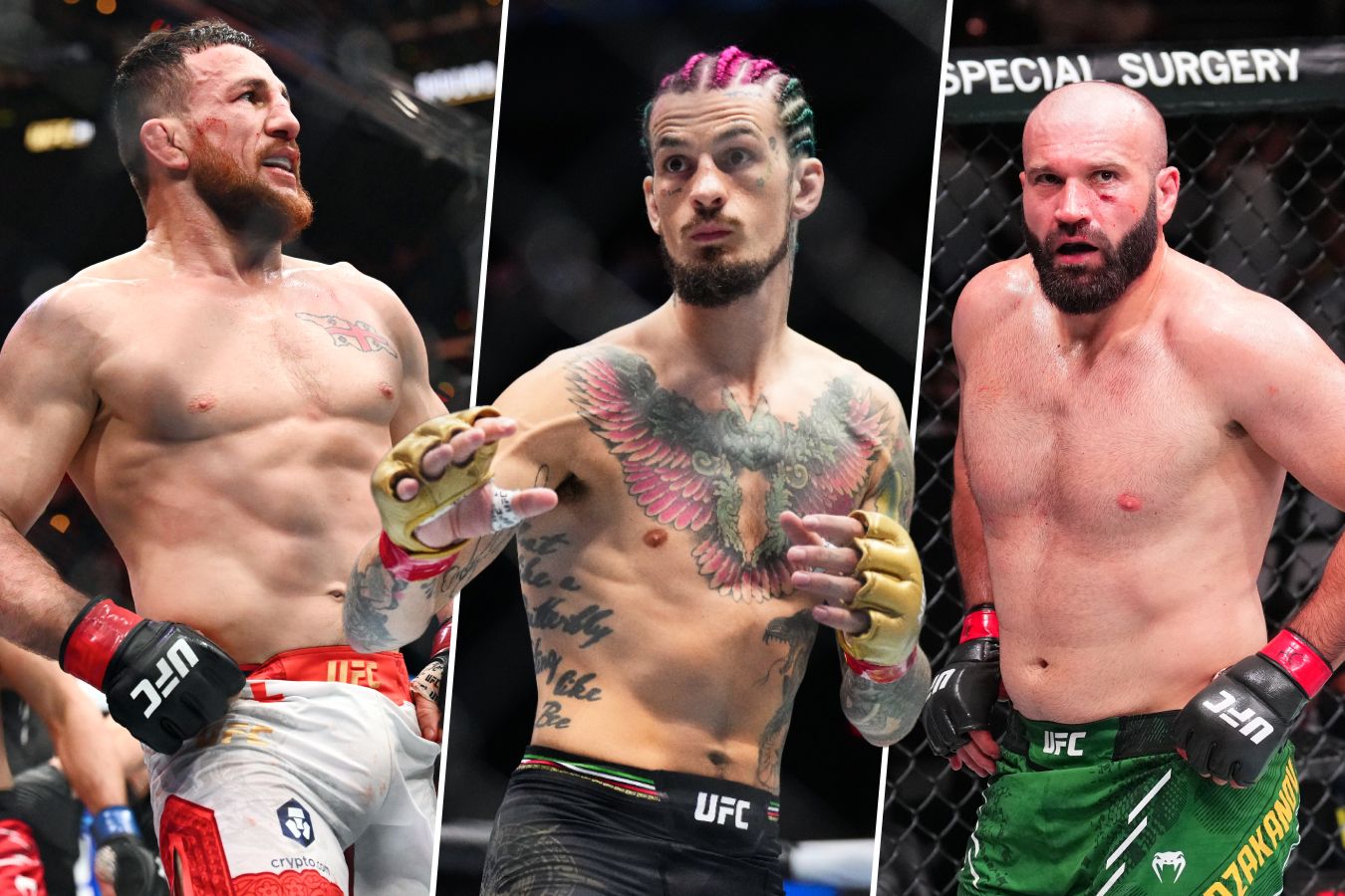 UFC 316, 8 июня 2025, Двалишвили — О’Мэлли 2, Пенья — Харрисон, прямая ...