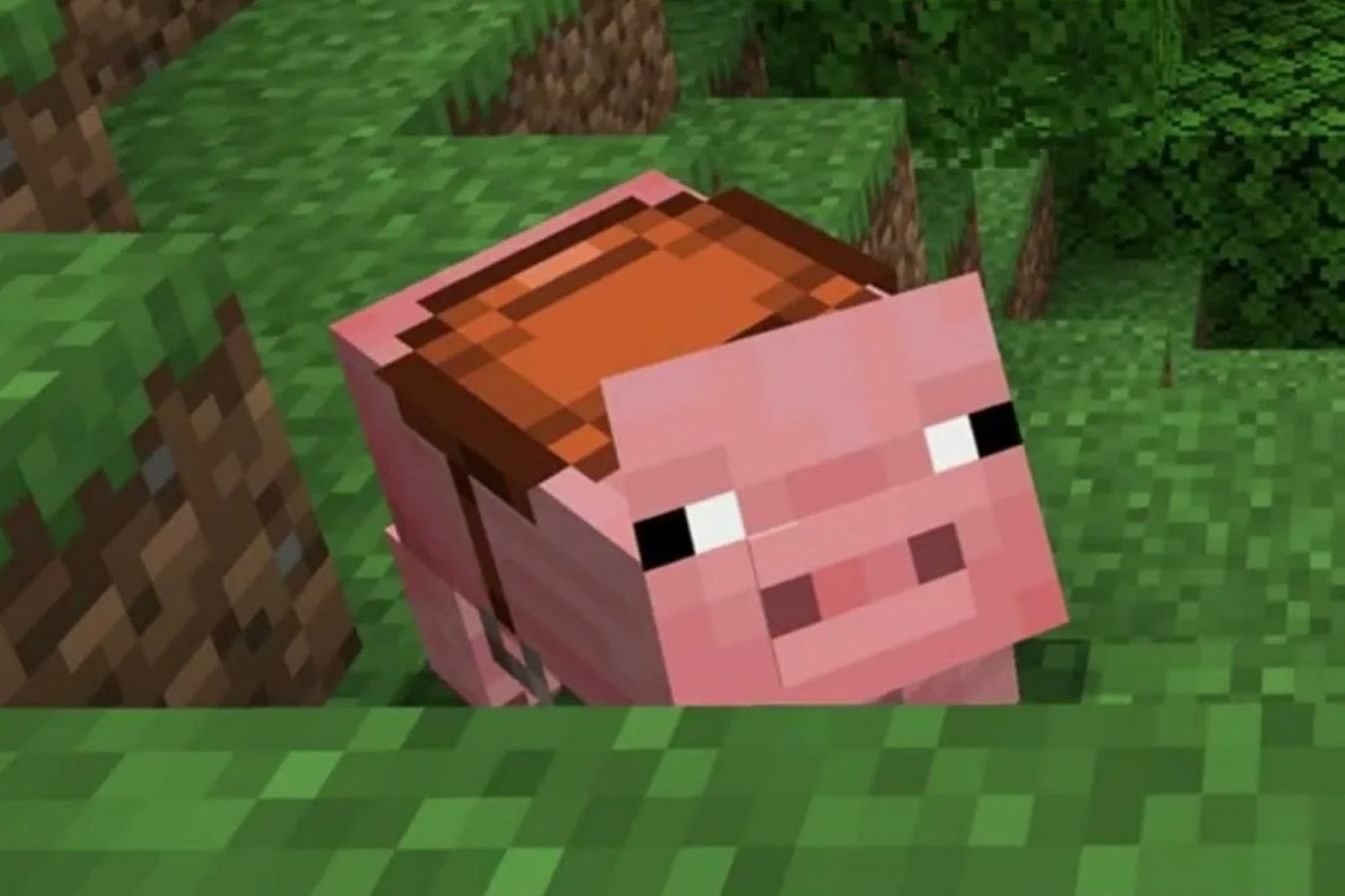 В Minecraft позволят создать седло — спустя 16 лет с выхода игры ...