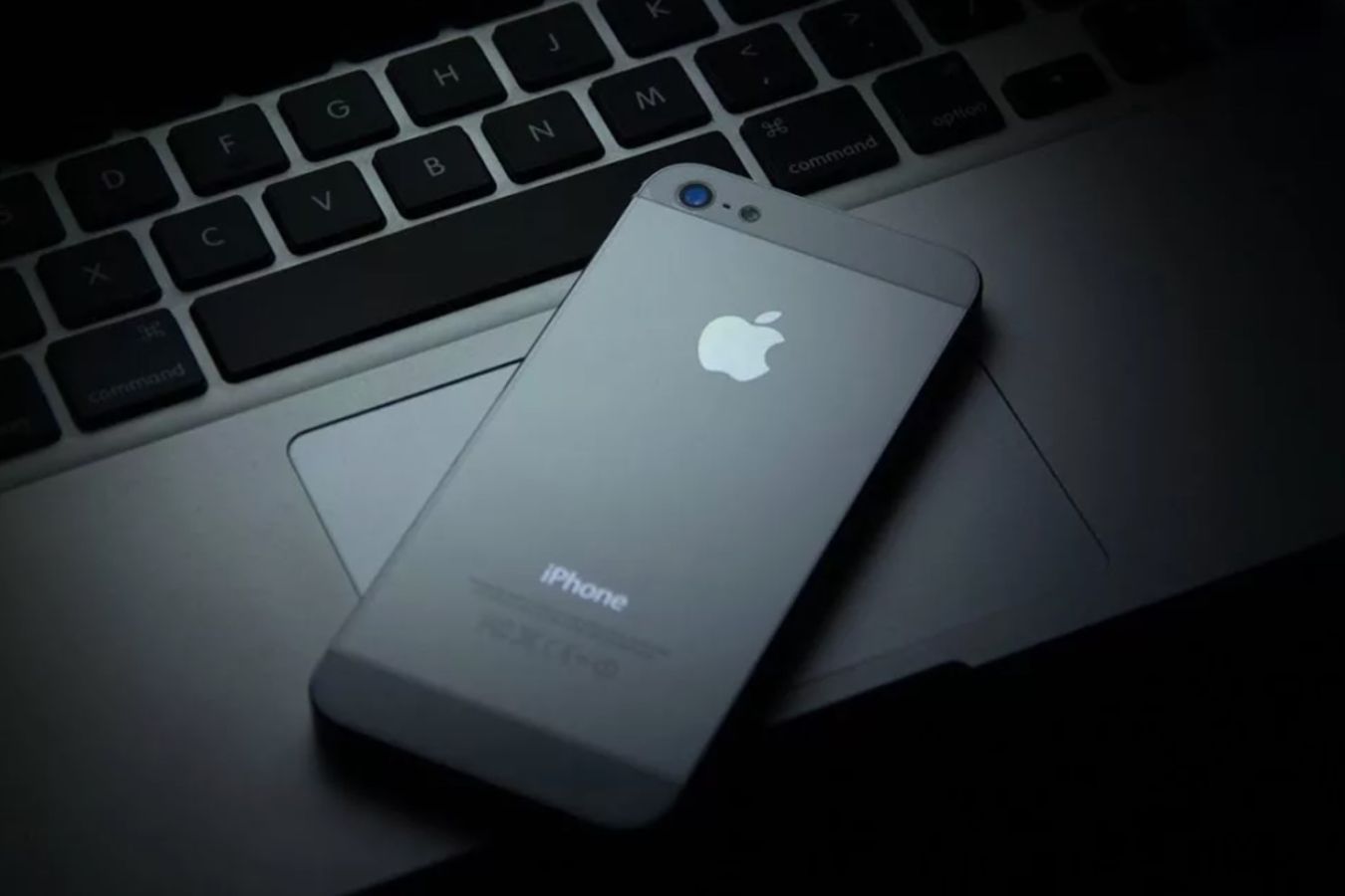 Apple оснастит iPhone 17 и другие будущие гаджеты фирменным Wi-Fi — СМИ ...