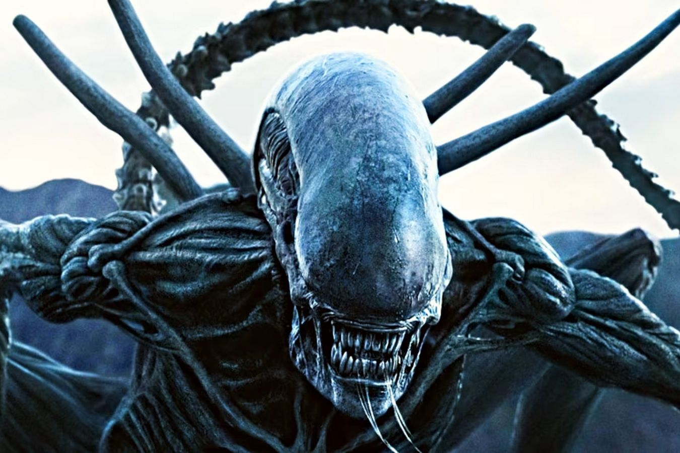 Вышел тизер сериала «Чужой: Земля» от автора «Фарго» — релиз в 2025 ...