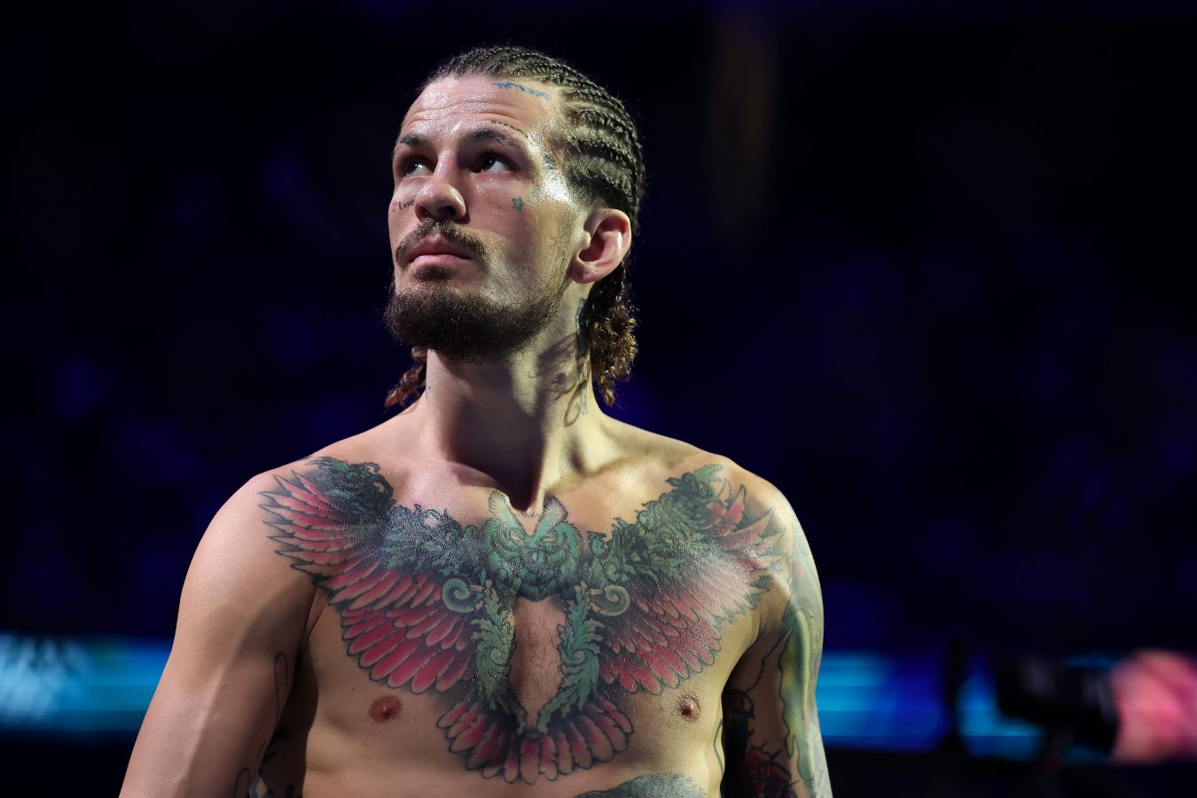 Поединок Шона О’Мэлли и Сонг Ядонга разрабатывается для UFC 323 в Лас ...