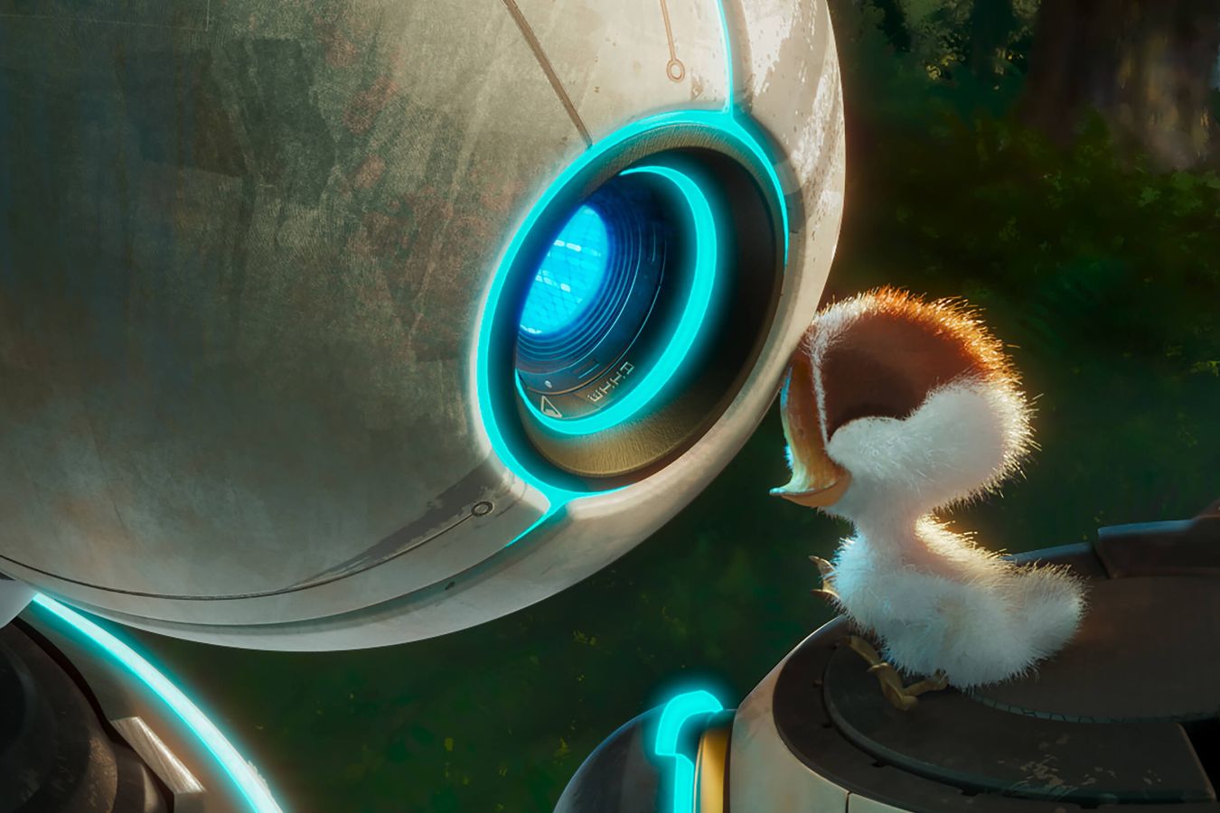 Мультфильм «Дикий робот» выйдет в кинотеатрах России 19 октября - Чемпионат