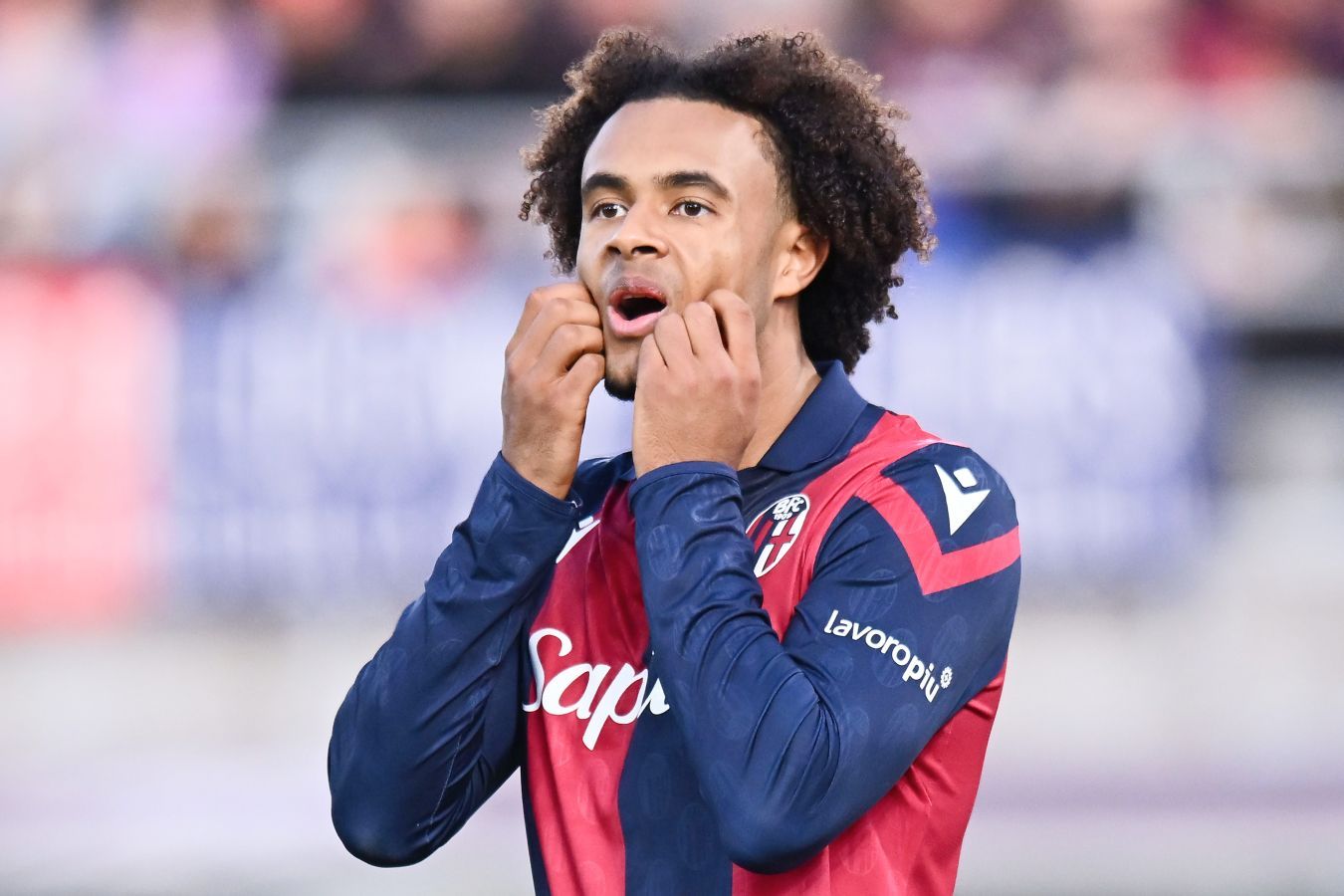 «Арсенал» интересуется форвардом «Болоньи» Зиркзее — The Telegraph ...