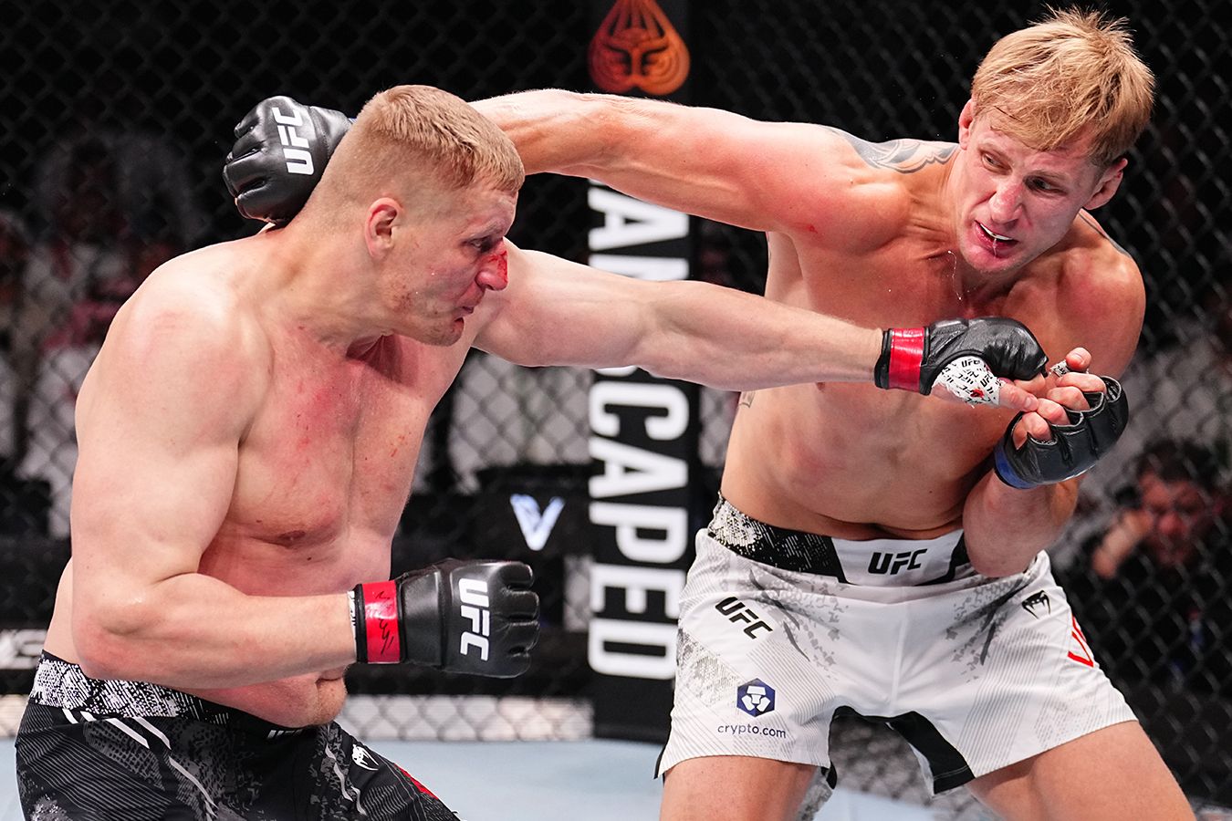 UFC Fight Night: Уиттакер — Алискеров, Павлович — Волков, кто победил ...