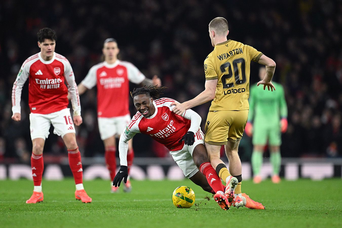 Gatas gold orlândia