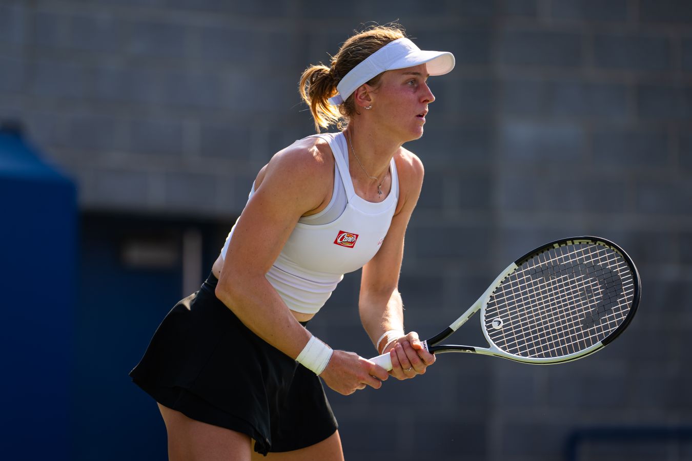 Людмила Самсонова проиграла 90-й ракетке мира на старте турнира WTA ...