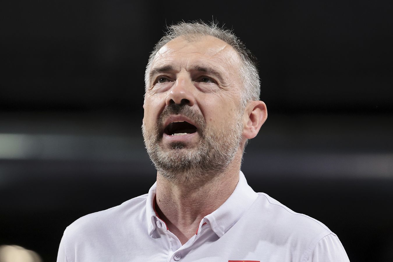 Никола Грбич: у меня нет разрешения работать в Польше, России и Италии ...