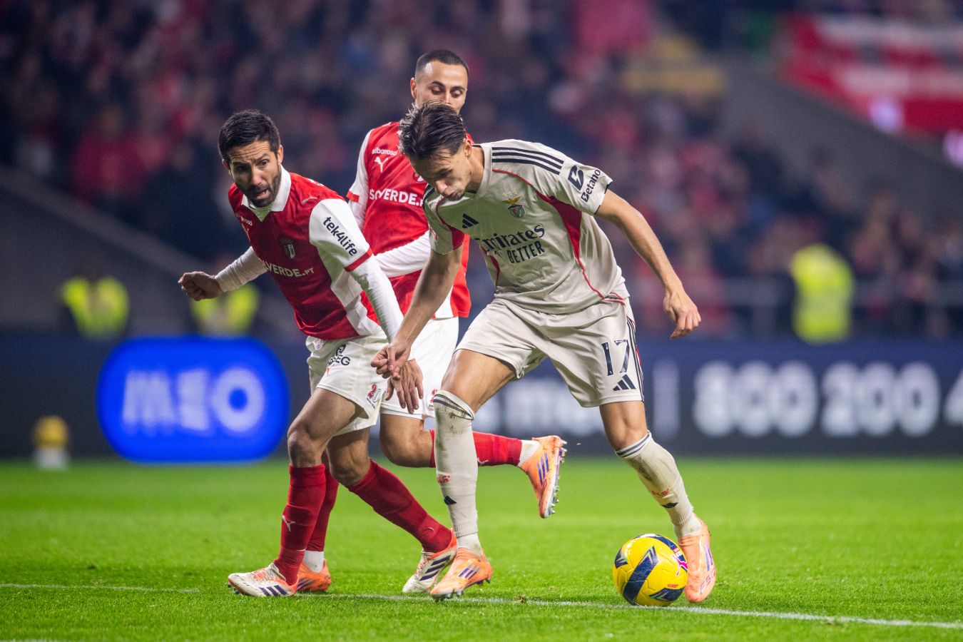 Fotos de seios naturais