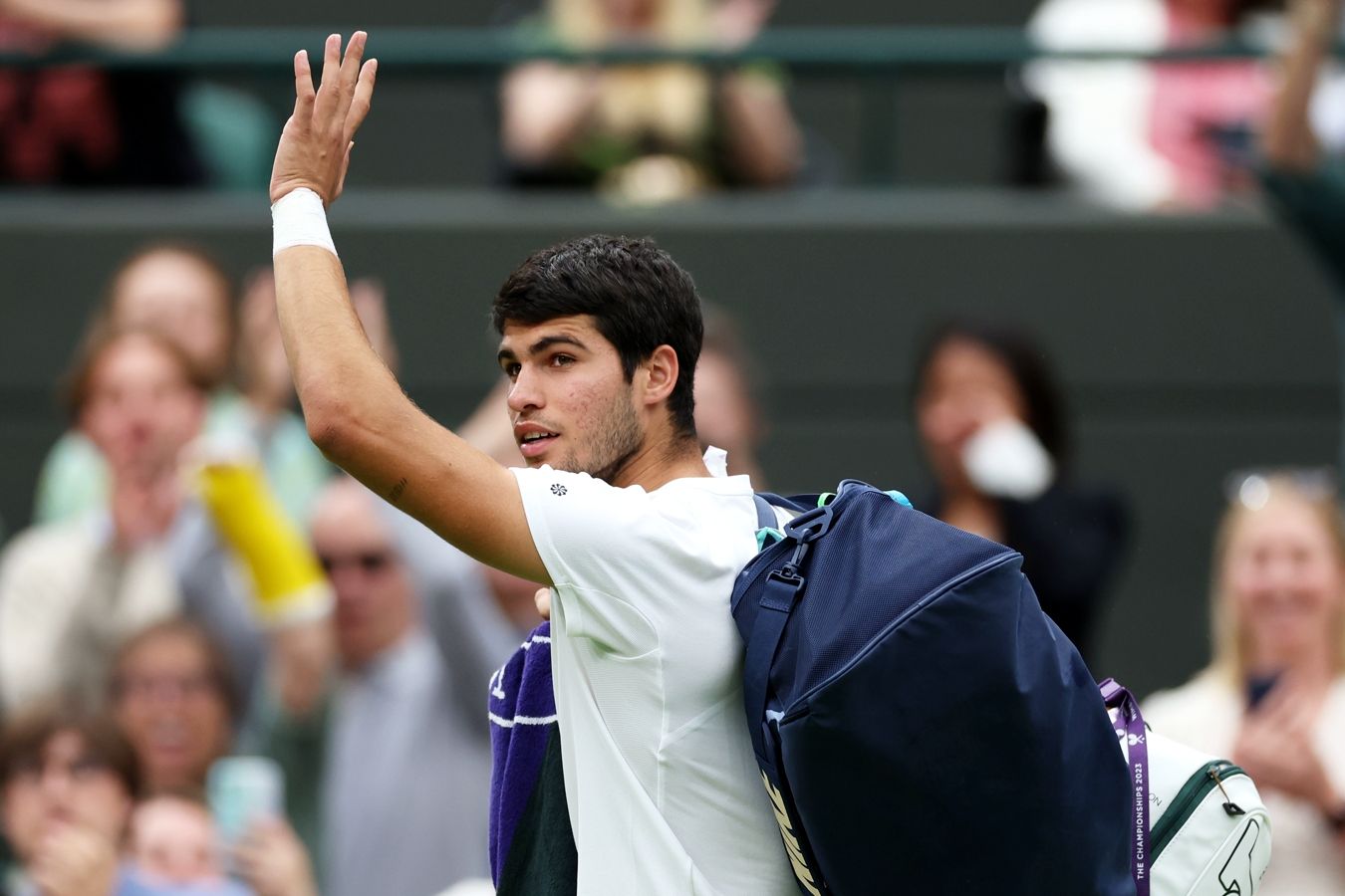 Лора Робсон: Карлос Алькарас не сможет доминировать в туре, как Новак ...