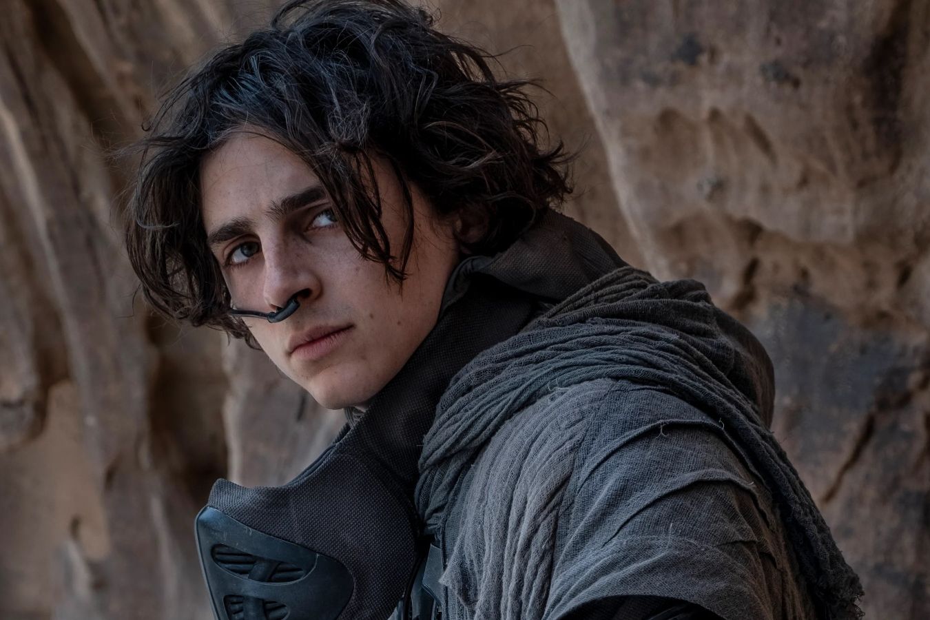 Тимоти Шаламе готов сняться в фильме о супергероях — несмотря на советы ...