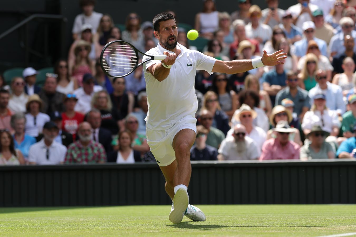 Новак Джокович повторил достижение Крис Эверт по количеству полуфиналов ...