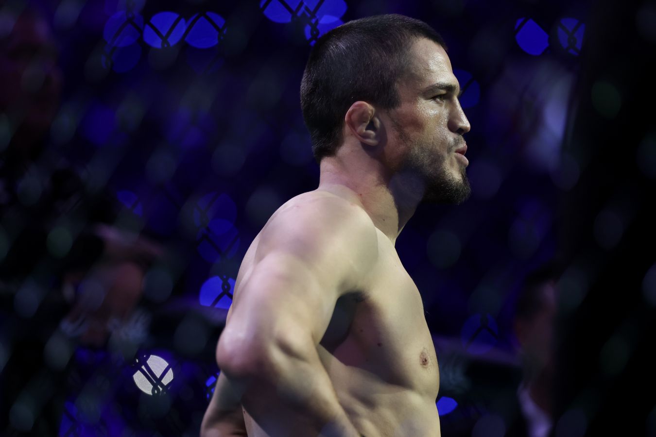 Хабиб заявил, что Умар Нурмагомедов возглавит турнир UFC в Ванкувере ...