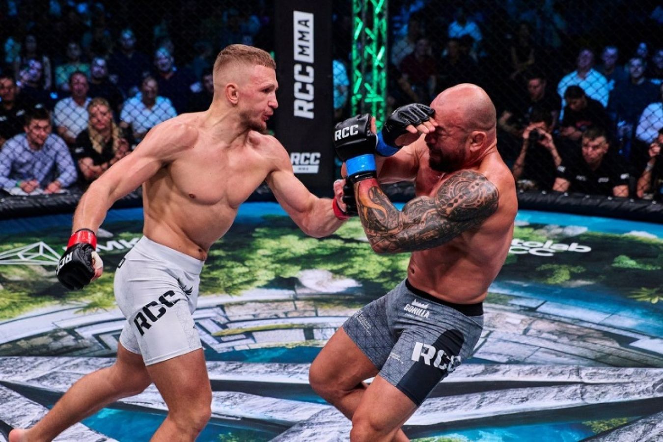 Рейтинг главных MMA-промоушенов России, ACA, AMC Fight Nights, RCC, Eagle FC, Hardcore - Чемпионат