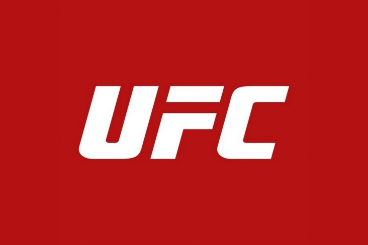 Результаты турнира UFC Vegas 105 - Чемпионат