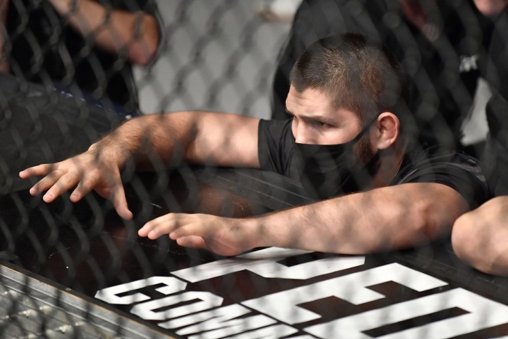 Хабиб рассказал о спаррингах Махачева с чемпионом UFC Эдвардсом - Чемпионат