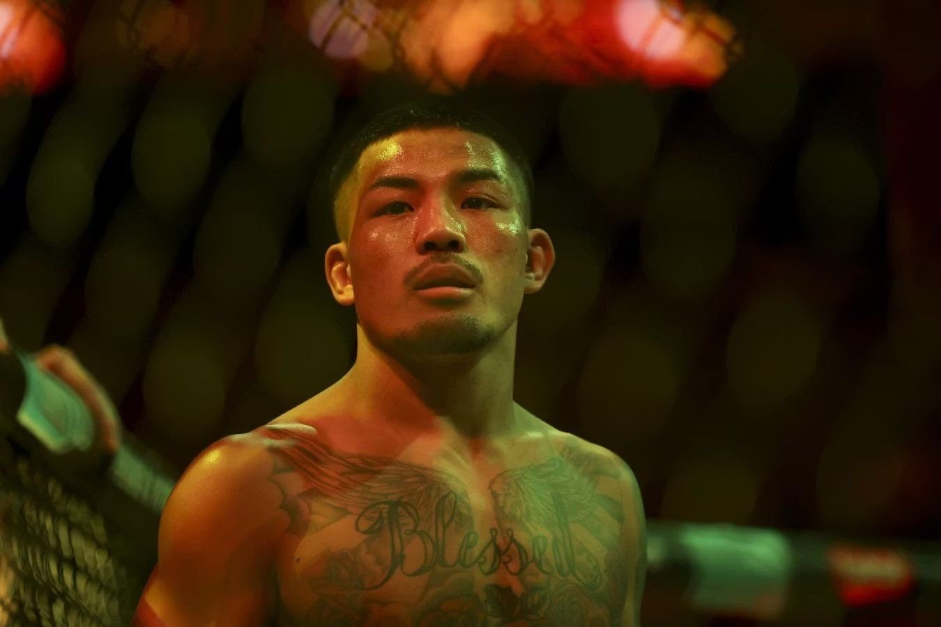 Джошуа Ван ответил Мокаеву, заявившему о готовности уйти из MMA, если ...